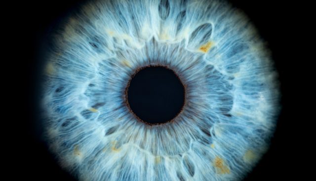 Cambridge spin-out Gyroscope Therapeutics raises £50.4m in Series B ...