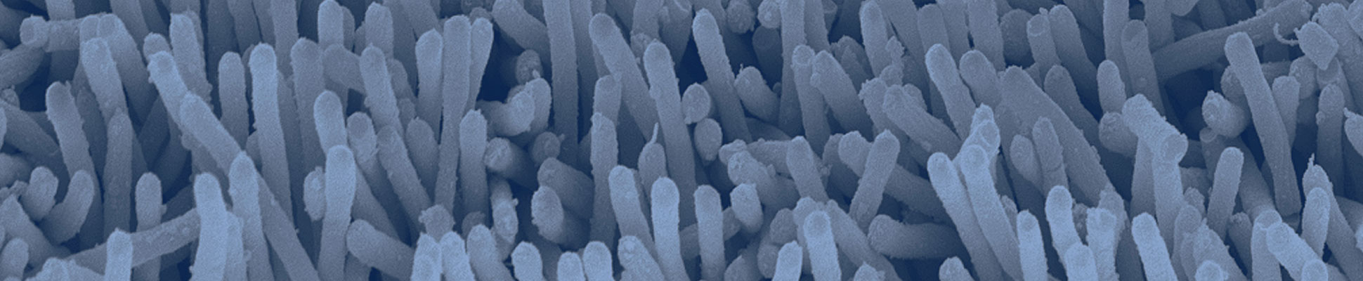 Cambridge spin-out Gyroscope Therapeutics raises £50.4m in Series B ...