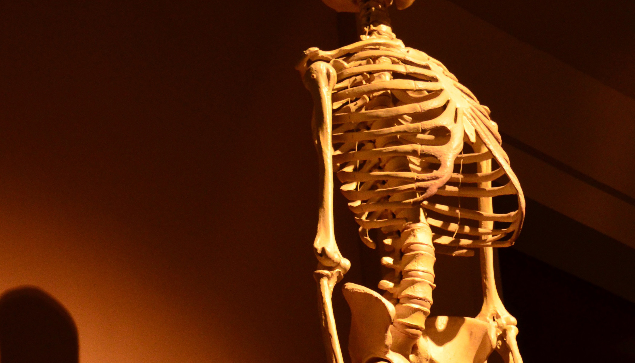 360° implant to treat spinal cord injuries – Cambridge Enterprise