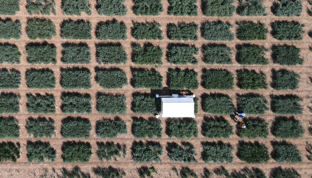 Universities of Lincoln and Cambridge work with Ceres Agri-Tech to win ...