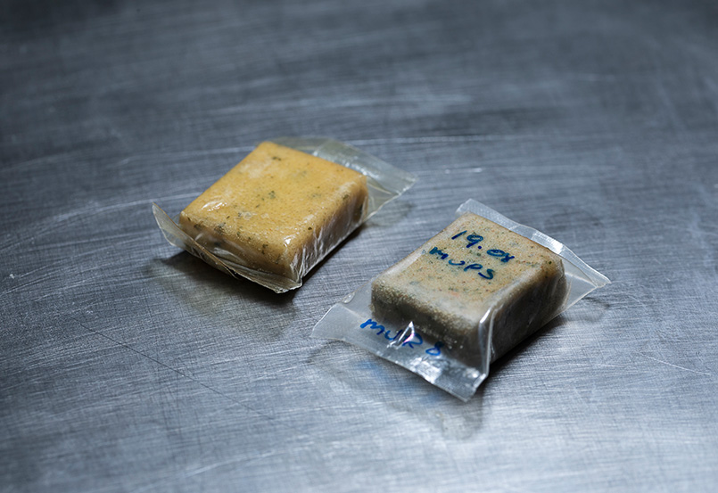 Xampla: Pioneering a plastic-free future – Cambridge Enterprise