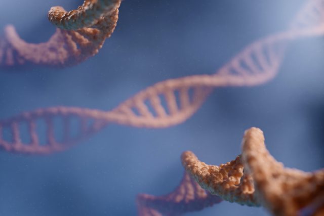 biomodal: Getting more information from DNA – Cambridge Enterprise