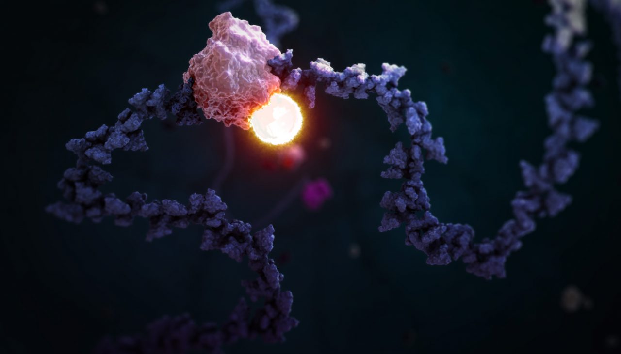 STORM Therapeutics: Pioneering RNA-targeted Cancer Therapies