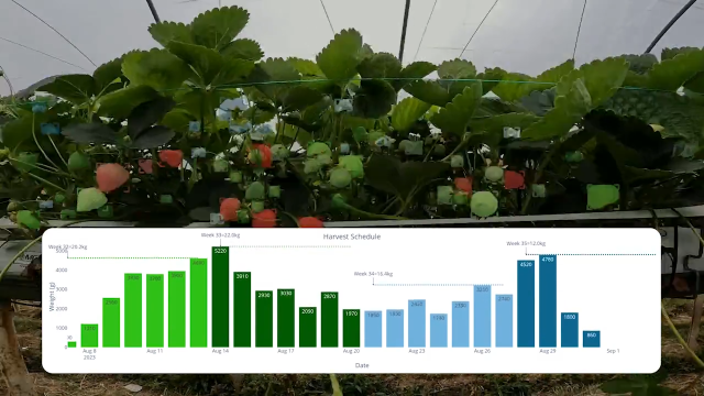 FruitCast: Forecasting made simple – Cambridge Enterprise