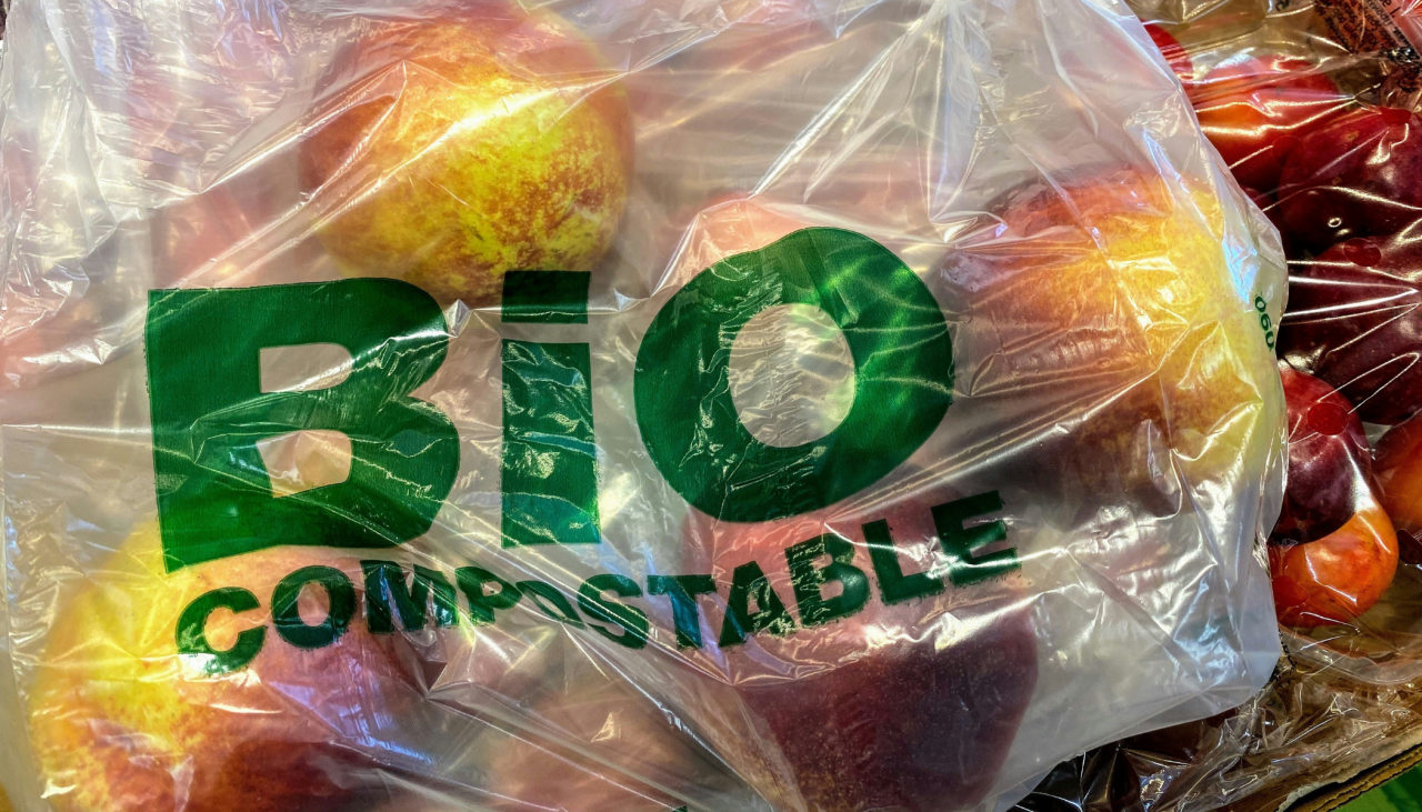 Sustainable cellulose packaging – Cambridge Enterprise